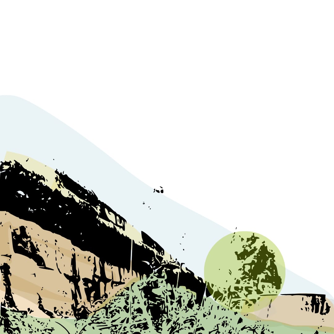 Home - York Environment Festival