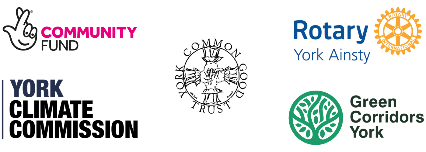 York Environment Festival – Saturday 27 September – Sunday 2 November 2025