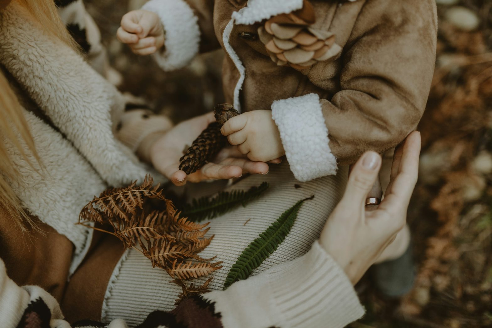 York Environment Festival – Saturday 27 September – Sunday 2 November 2025